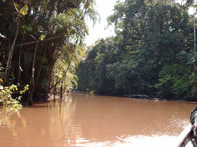 Parque Nacional Yasuní