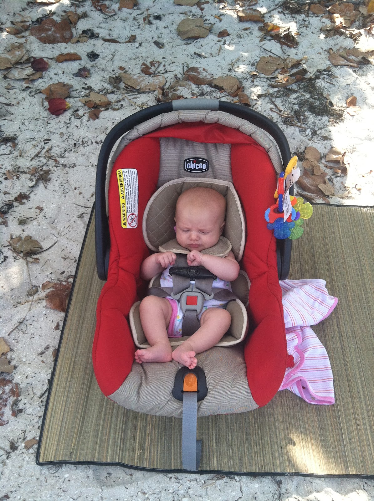TheHauserHaus: Siesta Key Vacation with my girls.