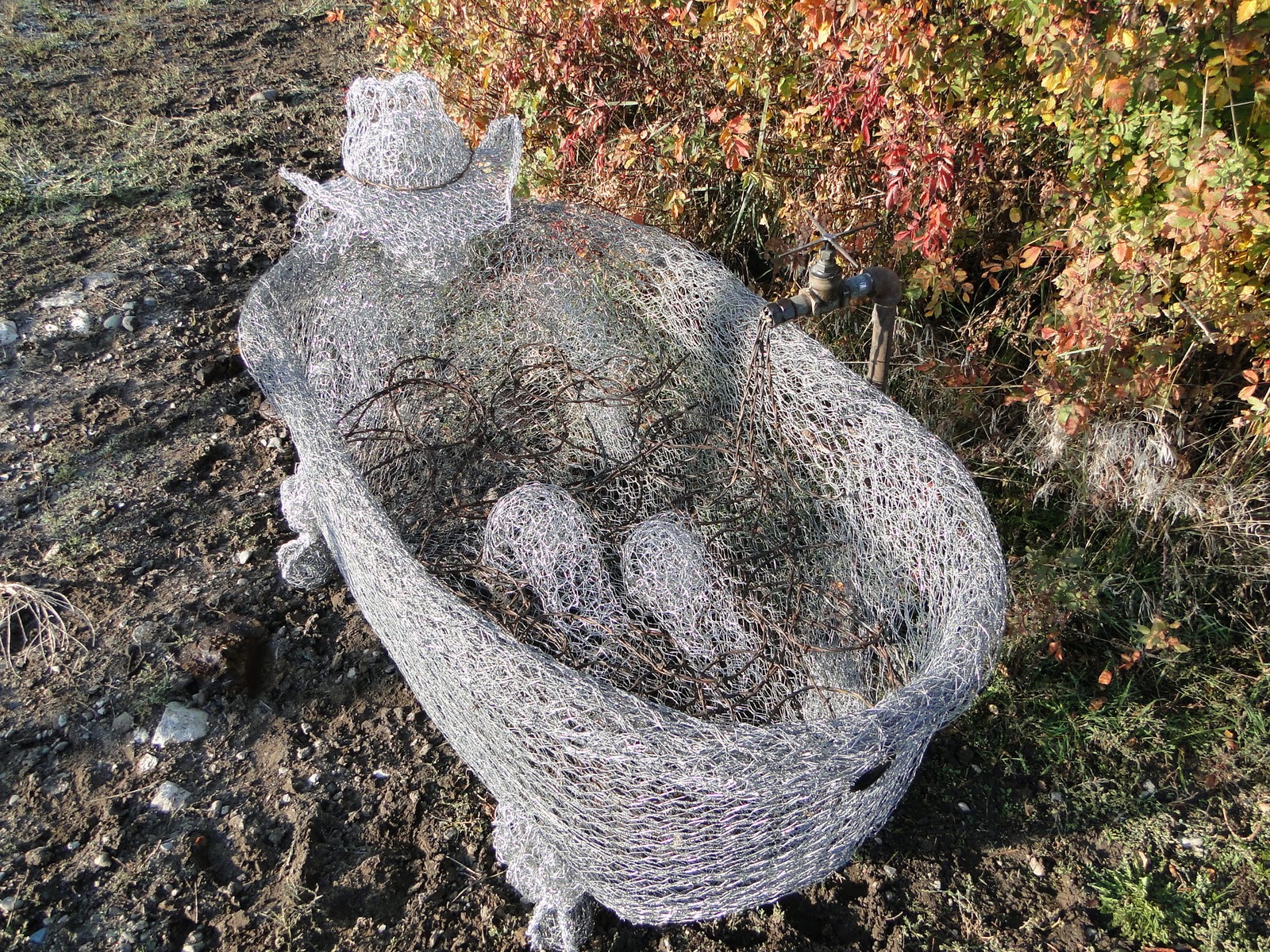 Wired to the West (Chicken Wire Sculptures)