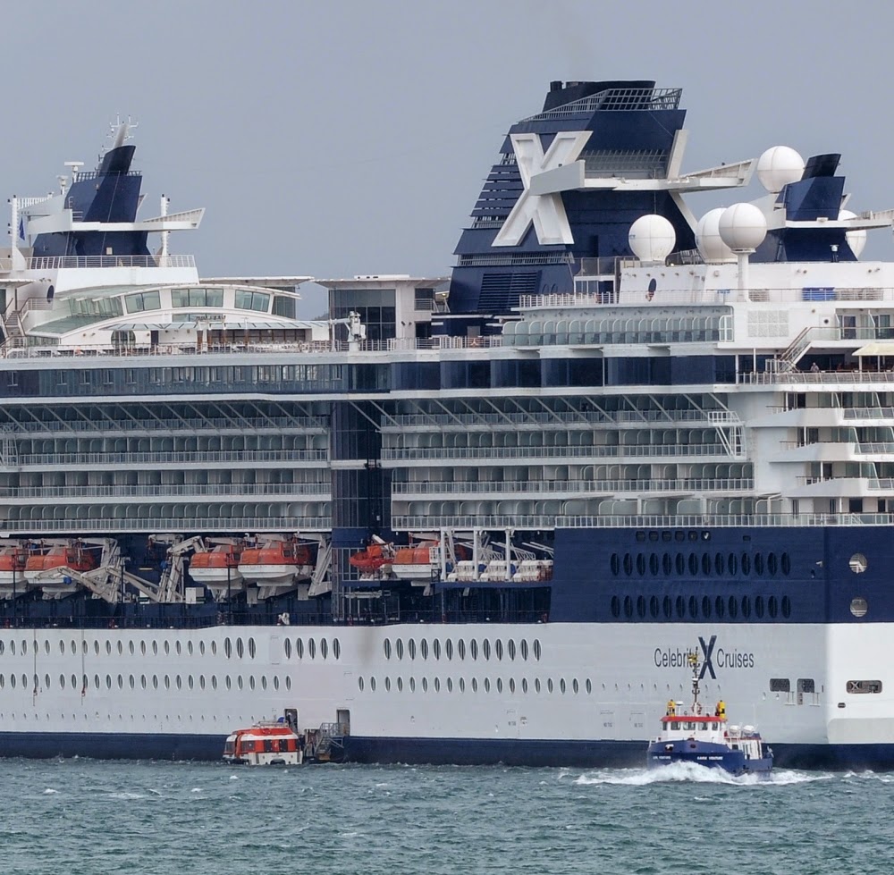 Last Tender: Celebrity Infinity
