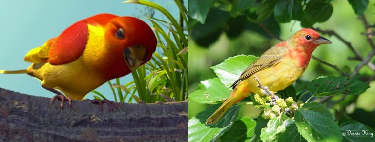 Art of Emily Willoughby: Top 10 Fictional Birds Based on Real Birds