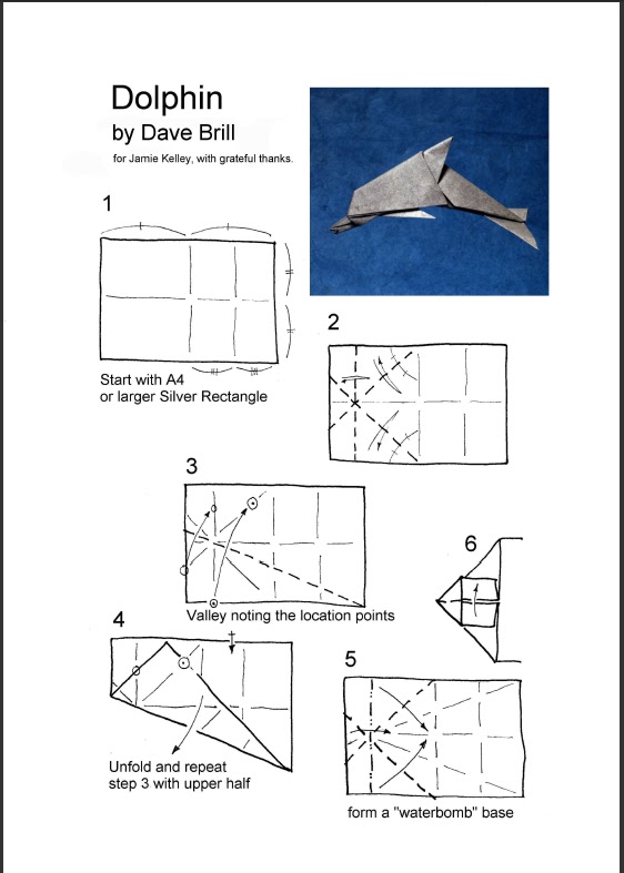 Asociacion Mexicana de Papiroflexia: Delfines