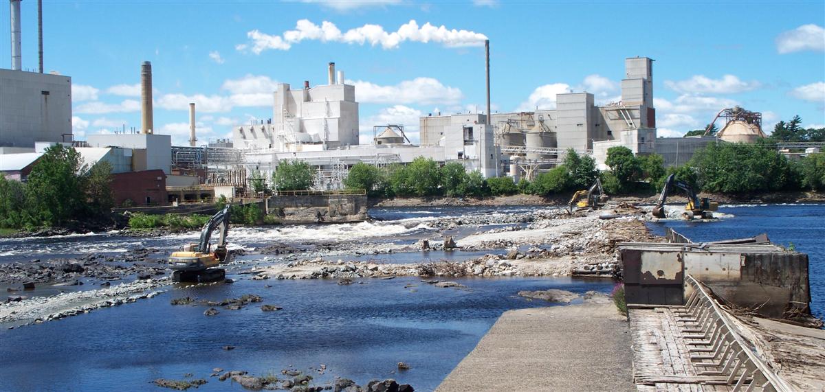 Northeast Ecological Services: Reviving a river: Checking in at Great ...