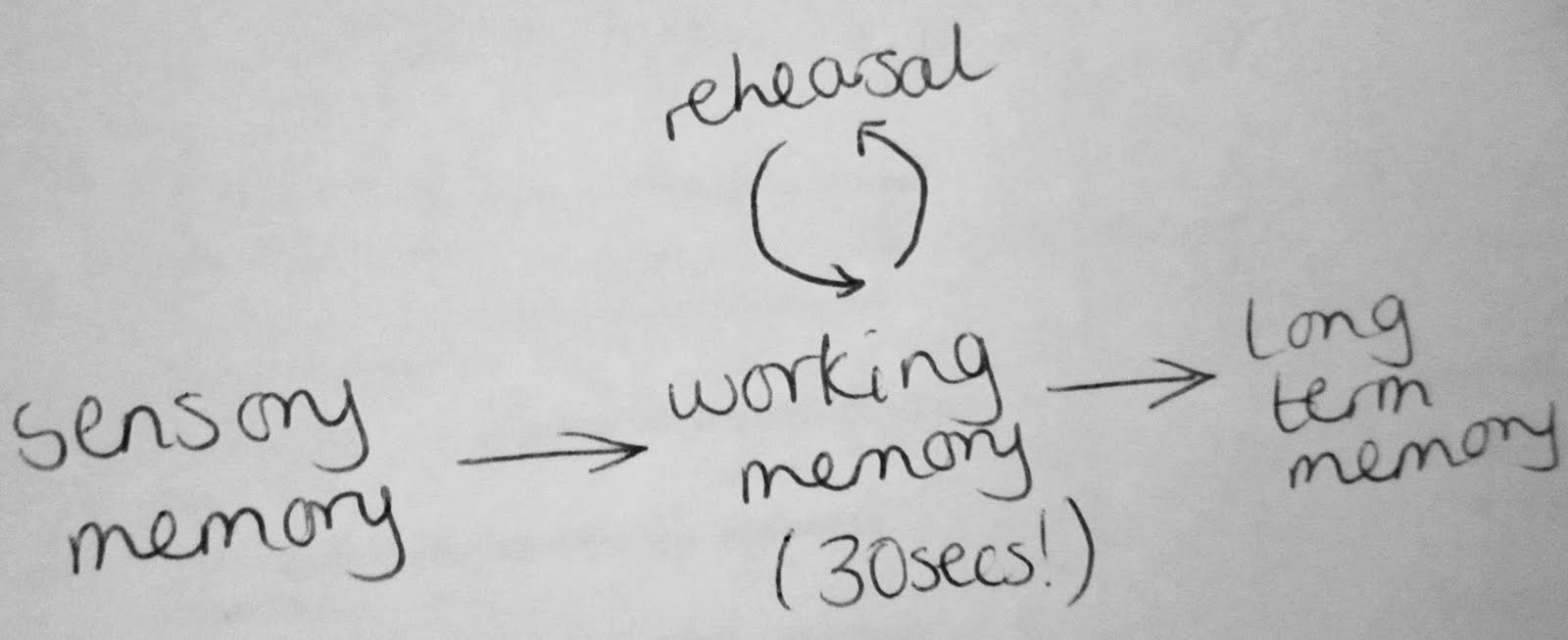 Notes From Medical School: Cram notes: Memory