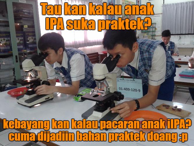 24 Meme Kocak IPA vs IPS