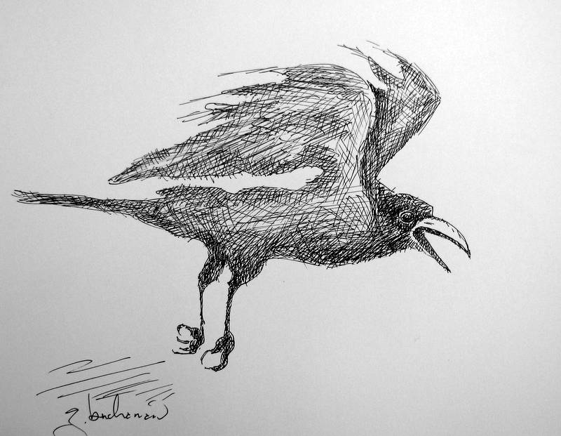 Desideratum ~ Art ~ Jewelry ~ Life: Cross-Hatch Corvidae