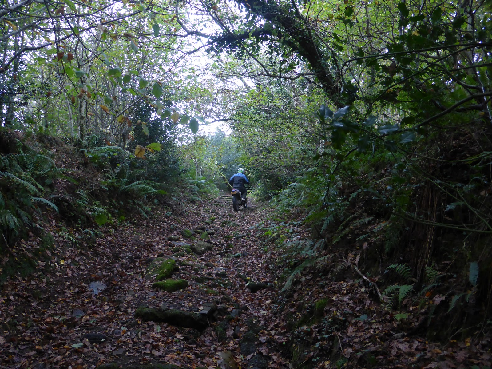 My Motorcycle Diary (Adventures small and large): Green lane riding in ...