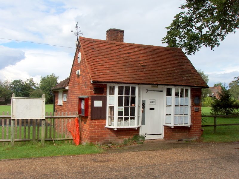 Janet Hyland's Paintings : Scribbles on Wood: Remembering Jordans 1 ...