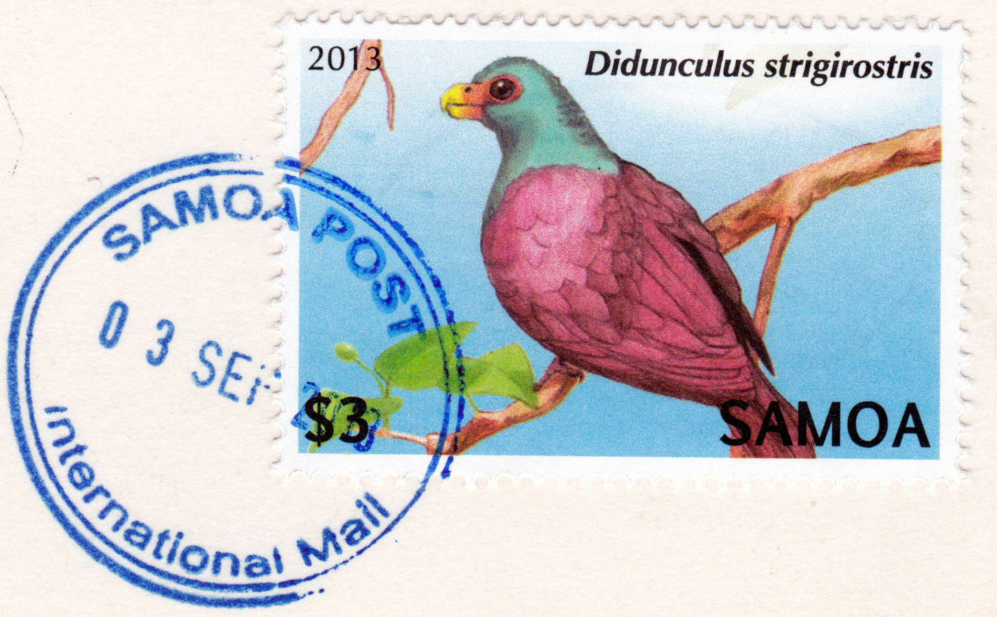 Wax On Daniel-san — Postcards: September 2013