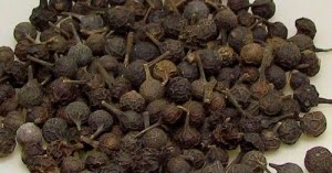 FARMAKOGNOSI : Fructus (buah): CUBEBAE FRUCTUS