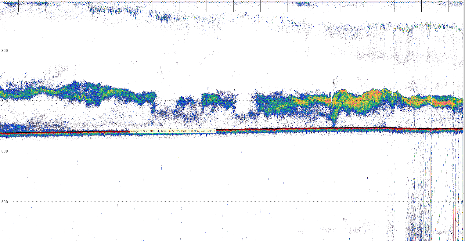 Blue Whiting Survey: 2019