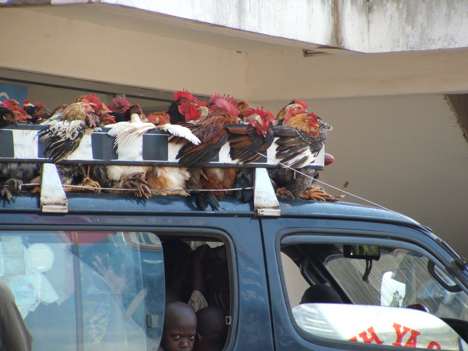 Paul & Dottie in Africa: SOME OF THE SIGHTS THAT MAKE AFRICA SUCH A ...