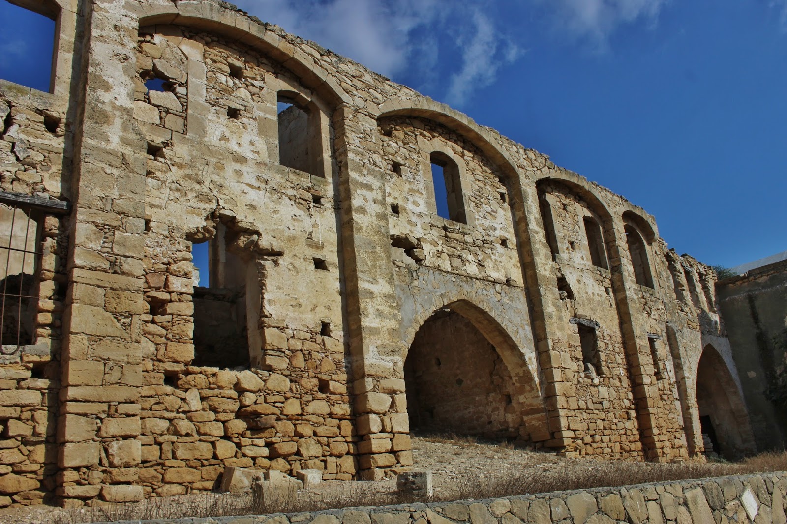 Biodiversity of Cyprus by NGO Protection of the Natural Heritage and ...