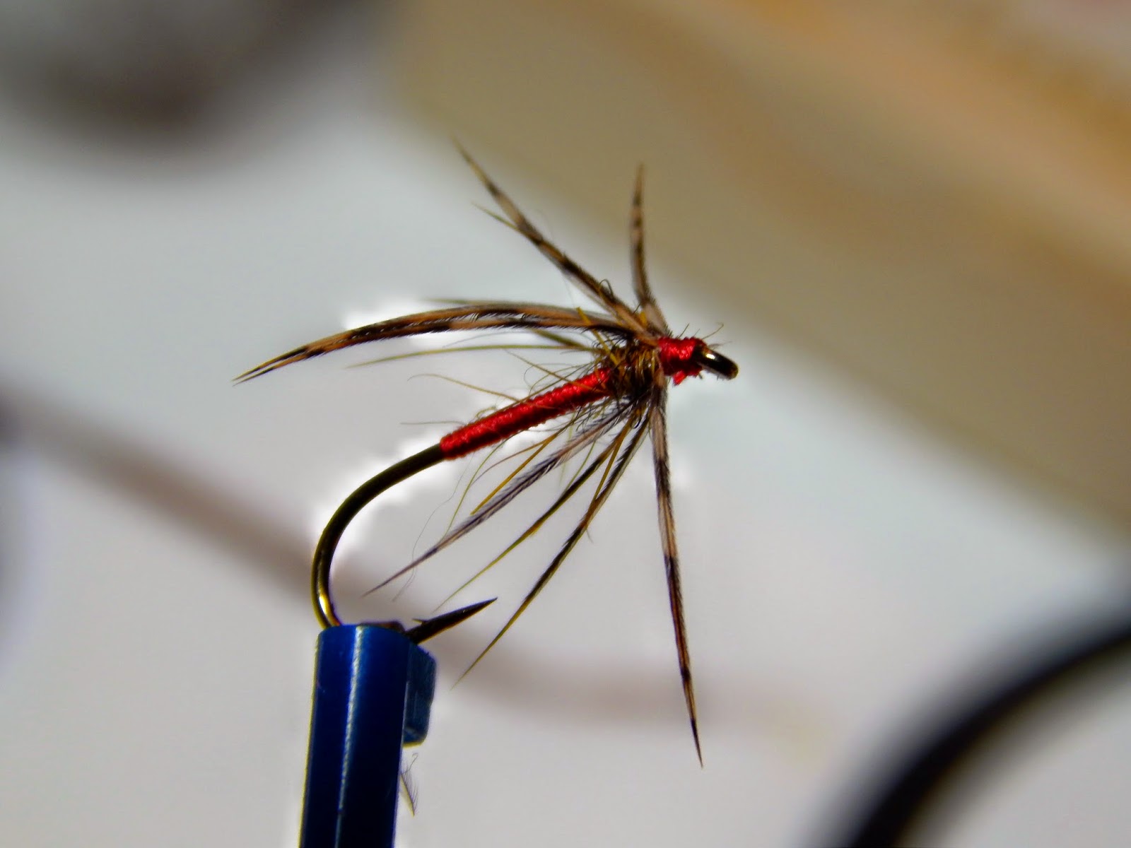 Small Stream Reflections: "February Red Soft Hackle"