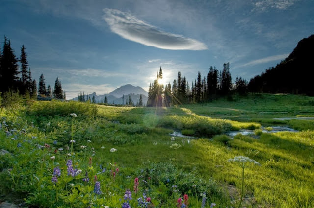 Chuck's Fun Page 2: That's some really neat photography