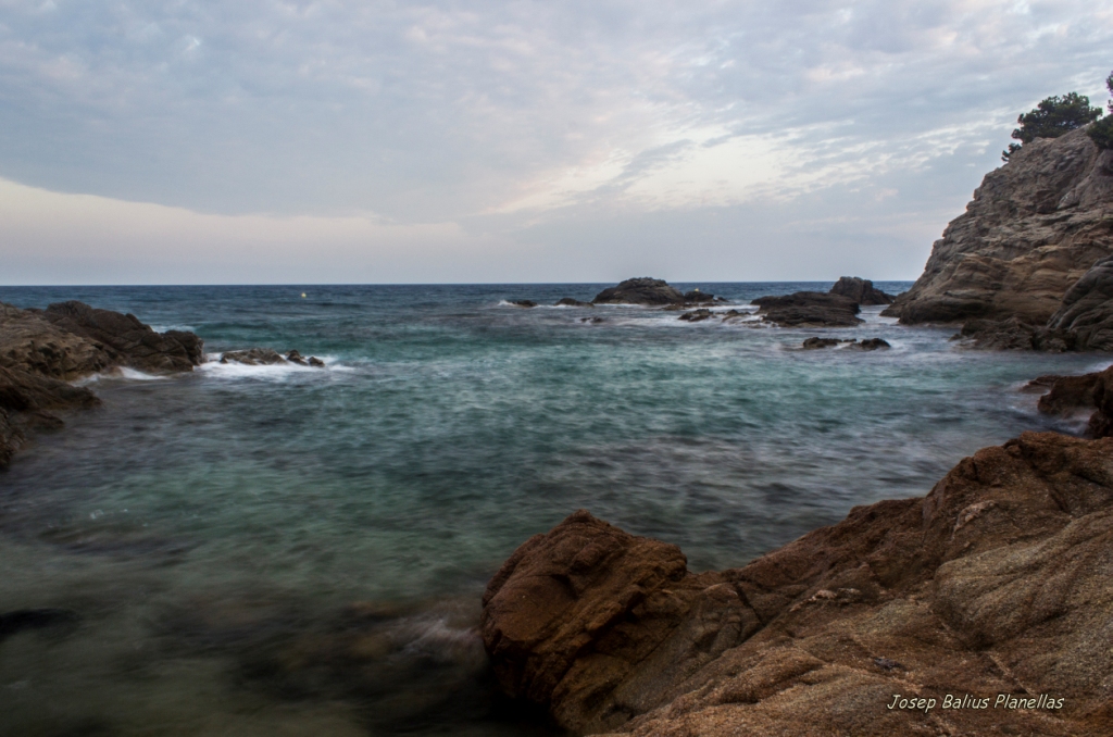 JOSEP BALIUS, el meu racó fotografic: 2015