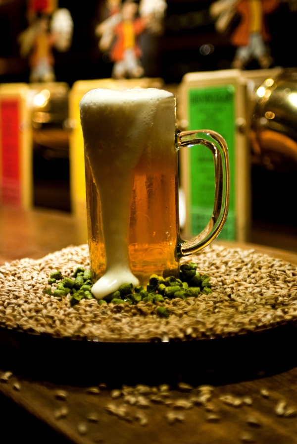 Живое Пиво в Латвии: Наша продукция