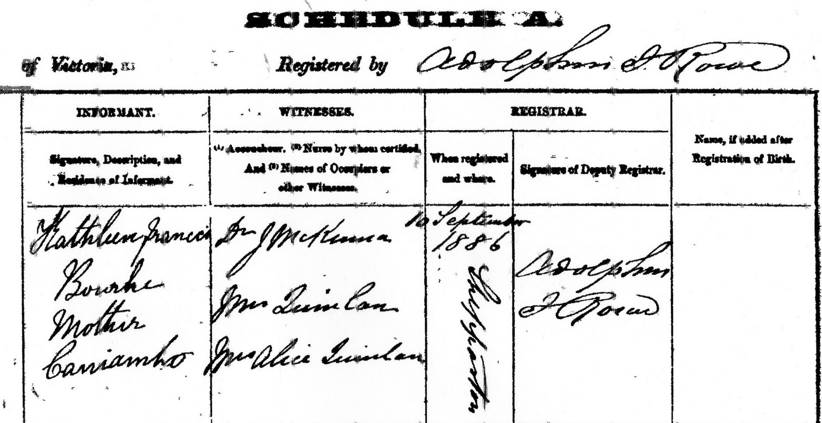 The Bourkes of Burramine and Boosey: Another new discovery re. Pine ...