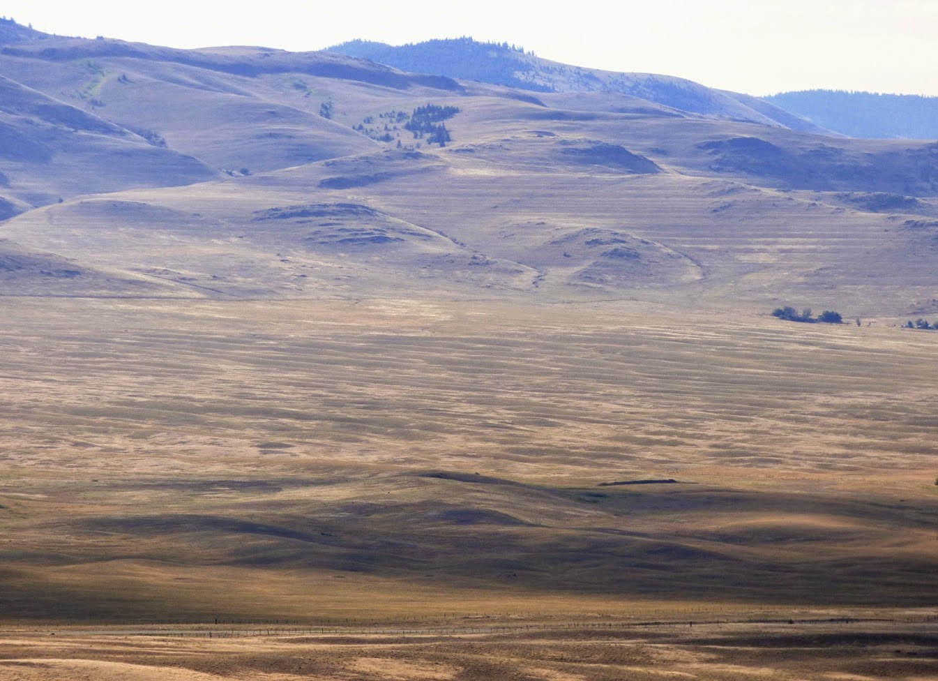 Geotripper: The Blind Men and the Elephant, as Told by Geologists: The ...