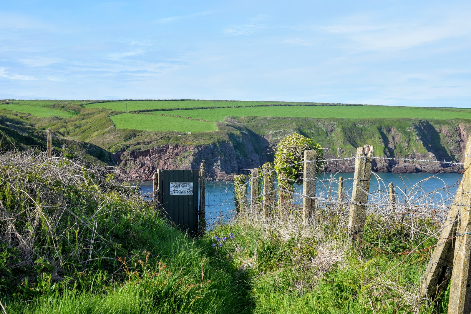 Exploring Mill Bay, Dale, Pembrokeshire - Diary of the Evans-Crittens
