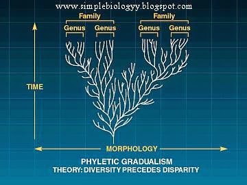BRIEF REVIEW OF LIVING WORLD IN SPACE, TIME AND PHYLETIC LINEAGE ...