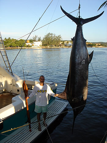 10 recordes de caça submarina no brasil - Pesca & CaçaSubmarina