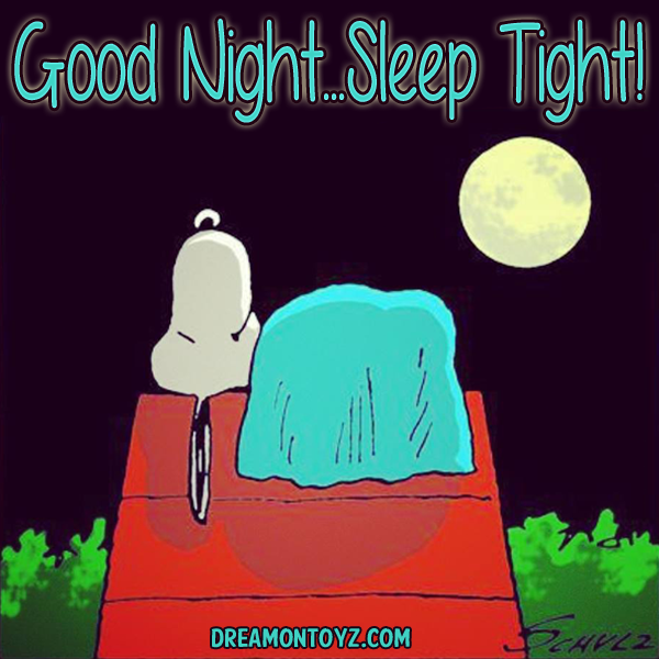 snoopy-gnst.png (600×600) | Goodnight snoopy, Snoopy pictures, Good ...