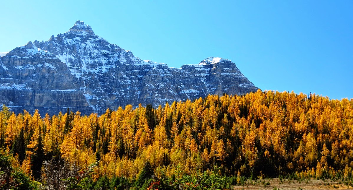 Advice: Larch Valley Hike : r/Calgary