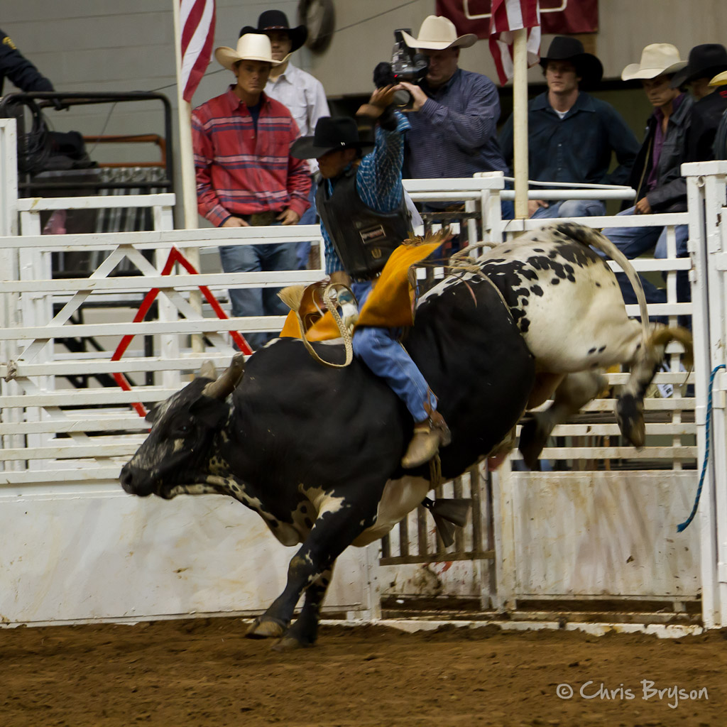 Riverbum's Random Ramblings: Georgia National Rodeo