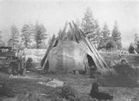Washoe Indians: Shelter