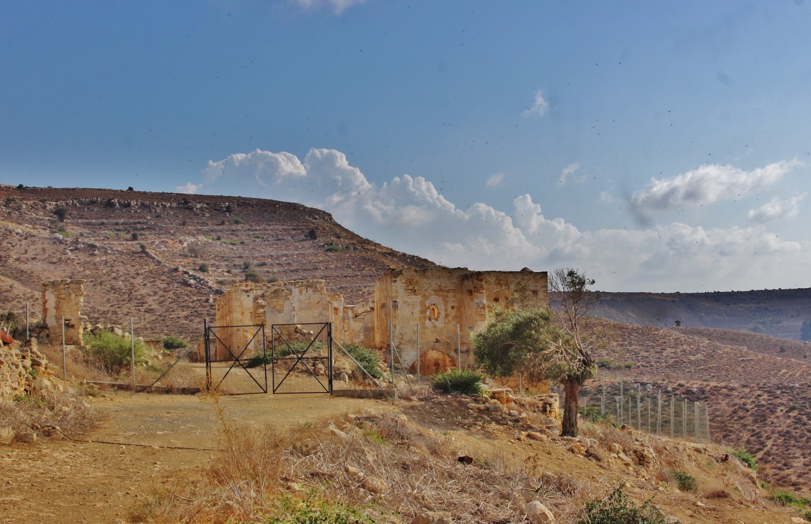 Biodiversity of Cyprus by NGO Protection of the Natural Heritage and ...