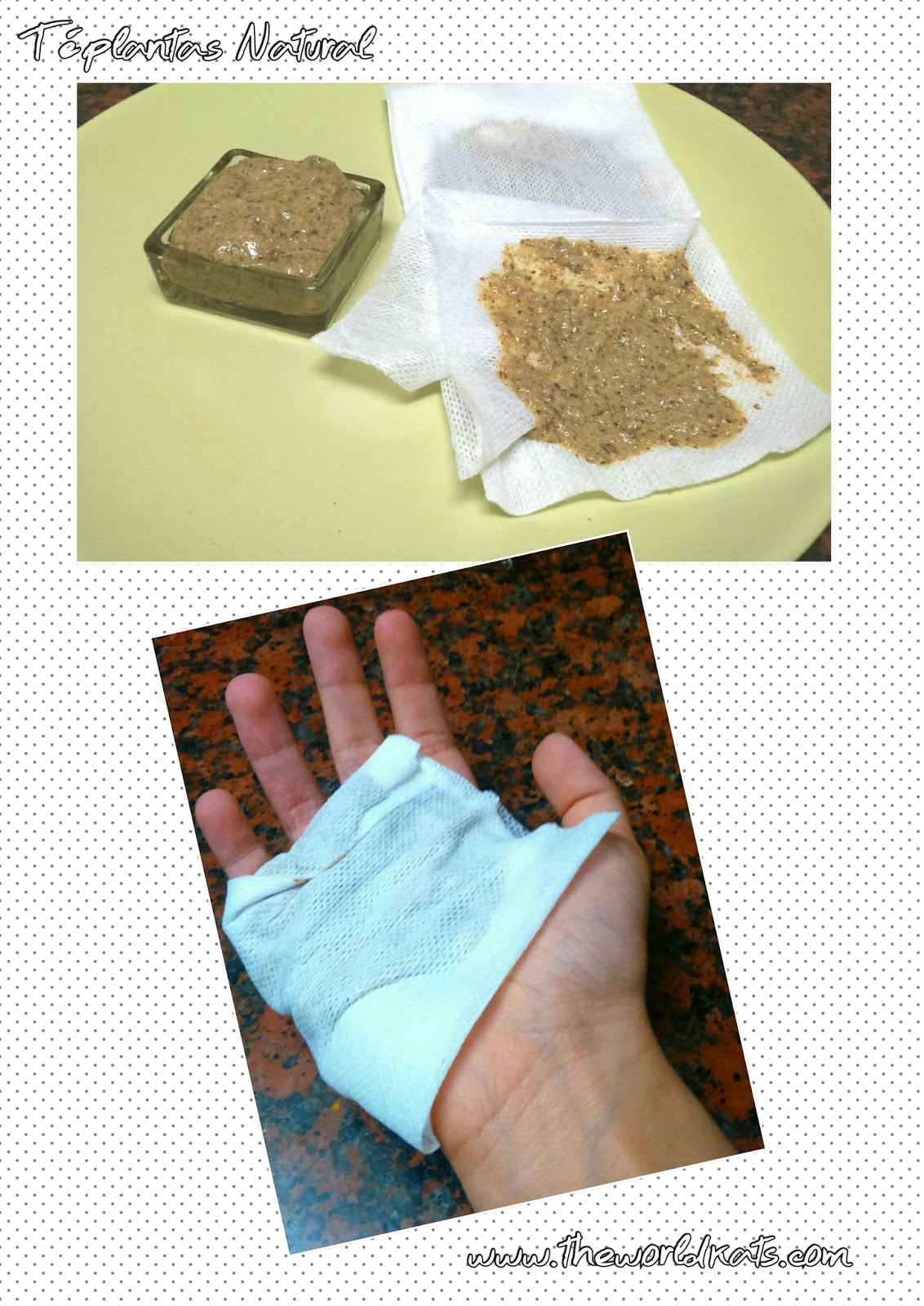 Cataplasmas con Plantas Medicinales. - THE WORLD KATS MAGAZINE