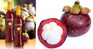 Eye on Costa Rica: Mangosteen, the Super Fruit in Costa Rica! It's not ...