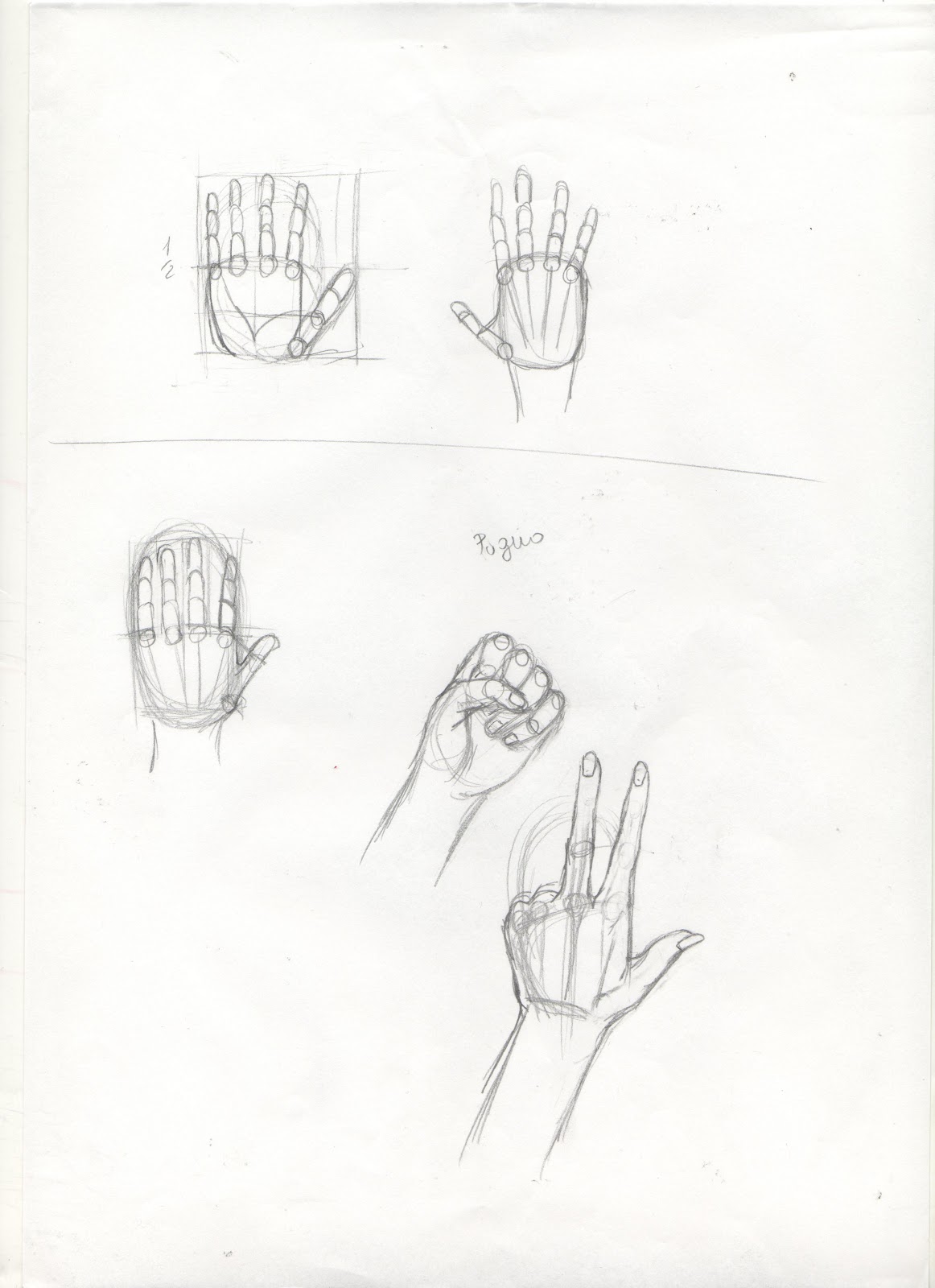 How to DrawHand: Come disegnare le mani - Miss Chroma Illustration