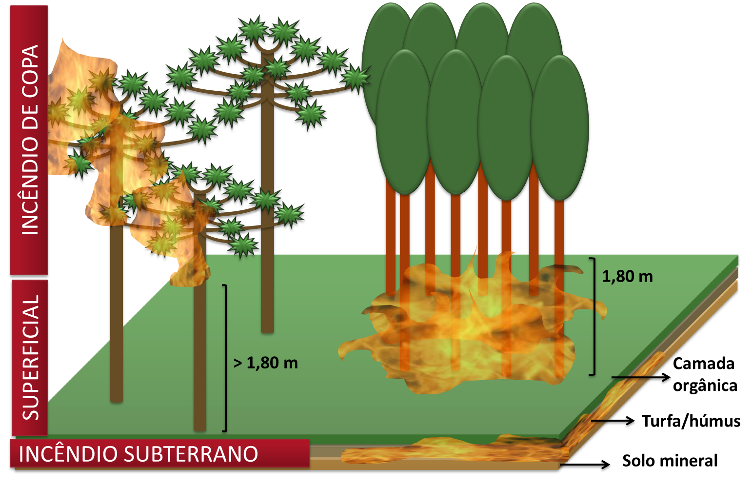 Incêndios Florestais: Aula 3 - Classificação dos incêndios florestais