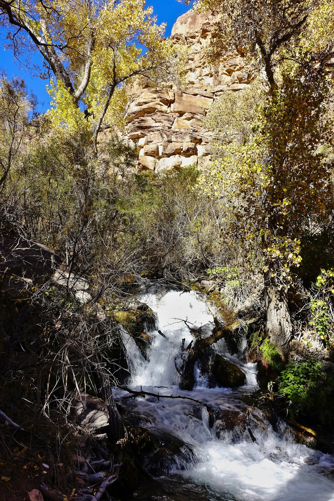 Saumya's Hiking Trips: Grand Canyon (Thunder River/Deer Creek Trail ...