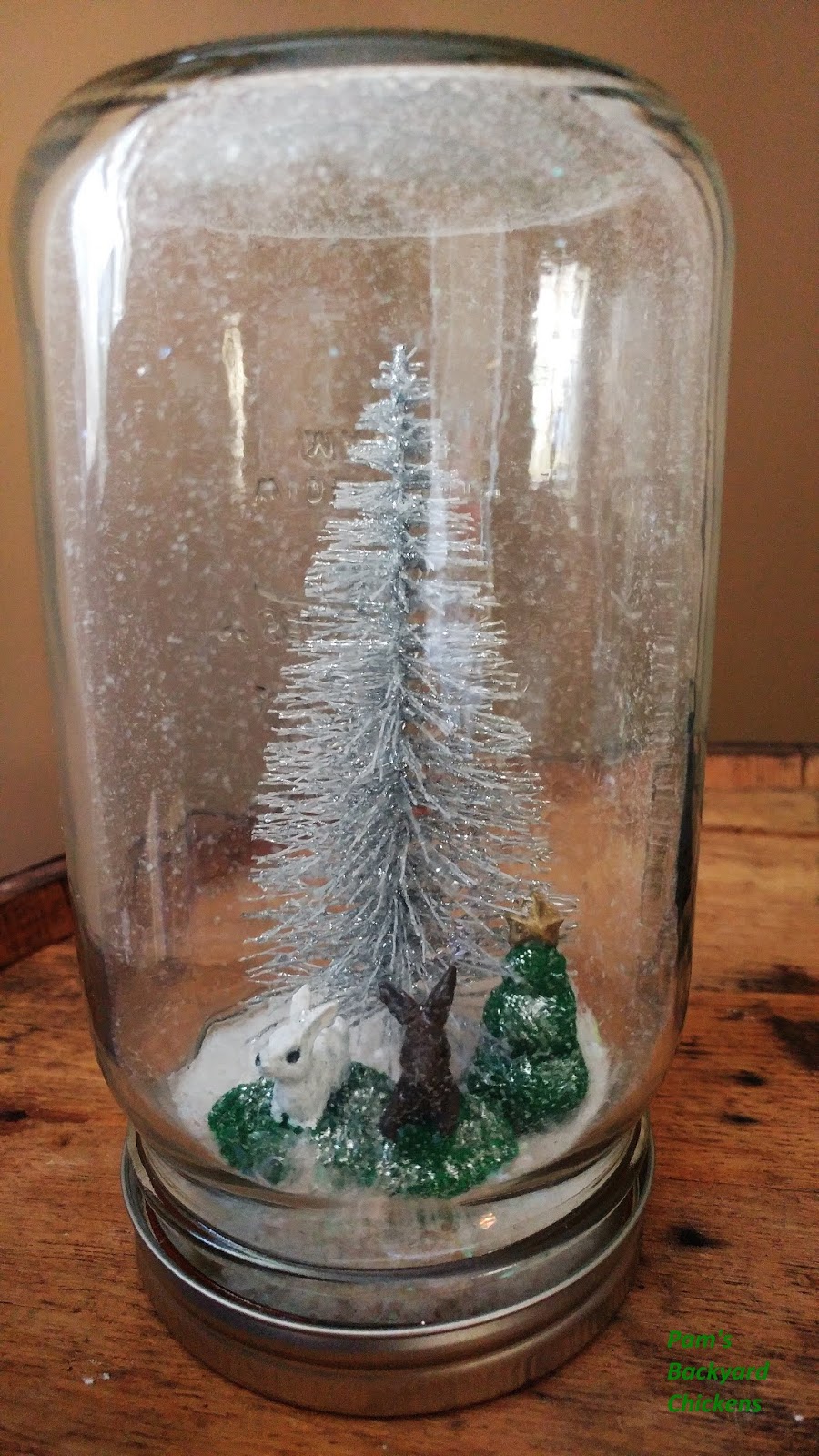 Pam's Backyard Chickens: How to Make a Homemade Snow Globe