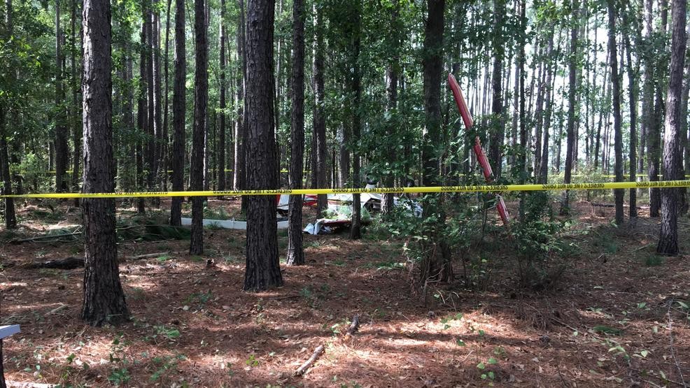 Kathryn's Report: Experimental, amateur-built Avid SW 65, N65SW ...