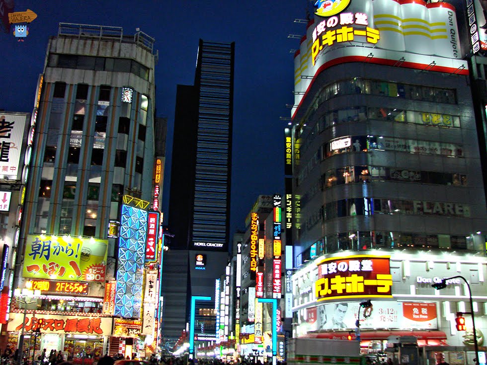 Qué ver en Tokio en 4 días - Notas en mi Libreta Viajera