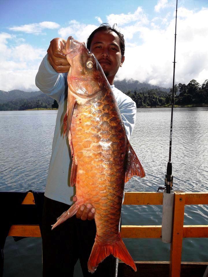 Fishing XPDC: Tasik Kenyir 2011