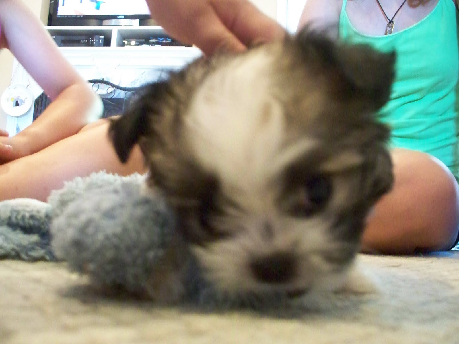 Life is Good: The Cutest Thing in the World!!!!