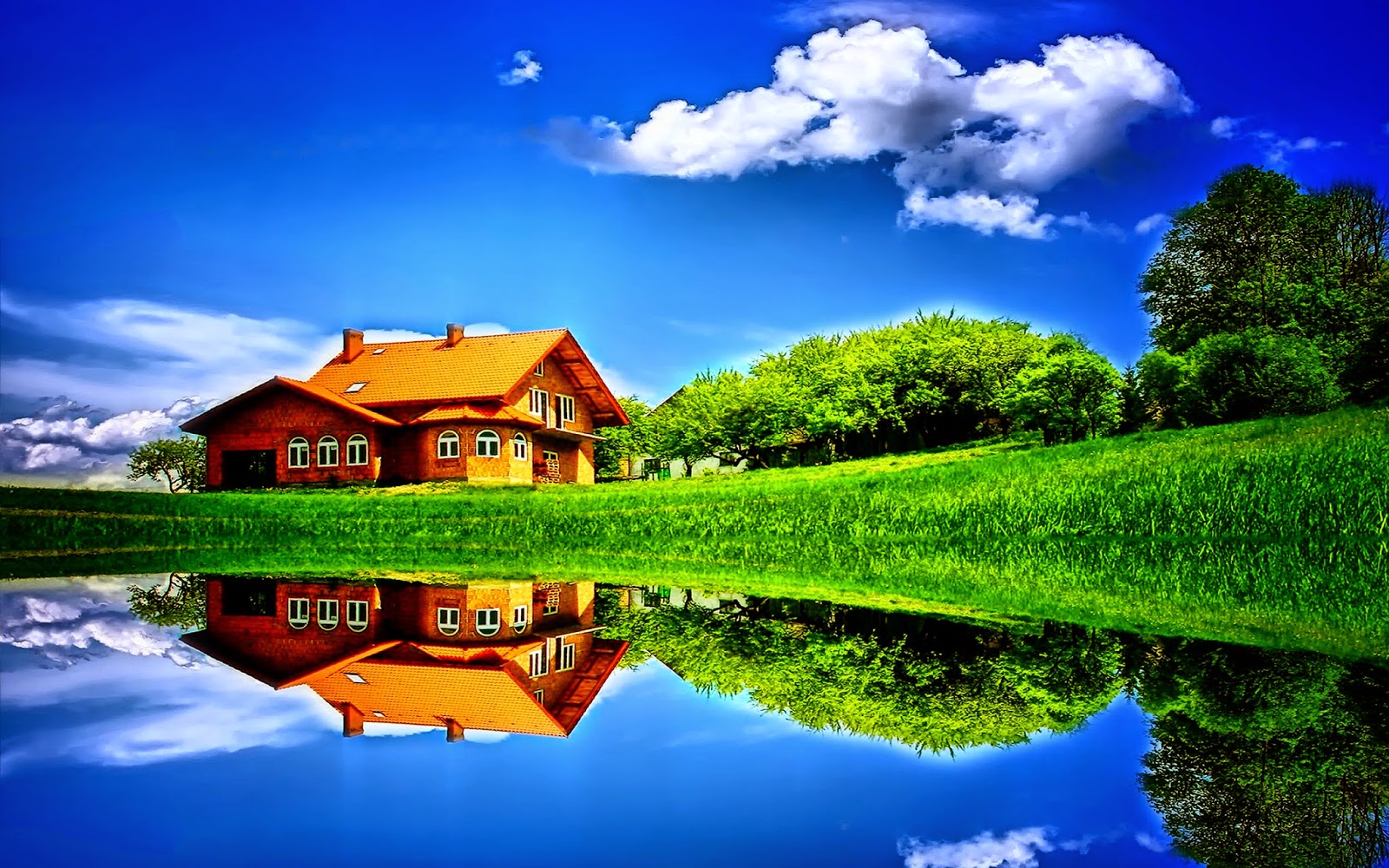 AS MAIS BELAS IMAGENS DA NATUREZA