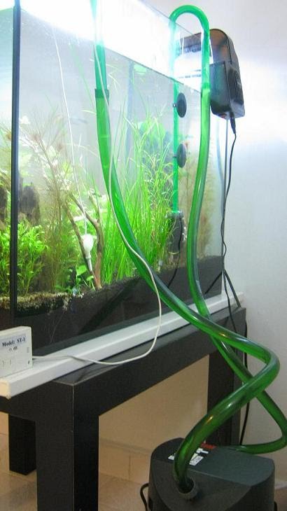 A NIGHT BY THE AQUARIUM: Eheim 2213