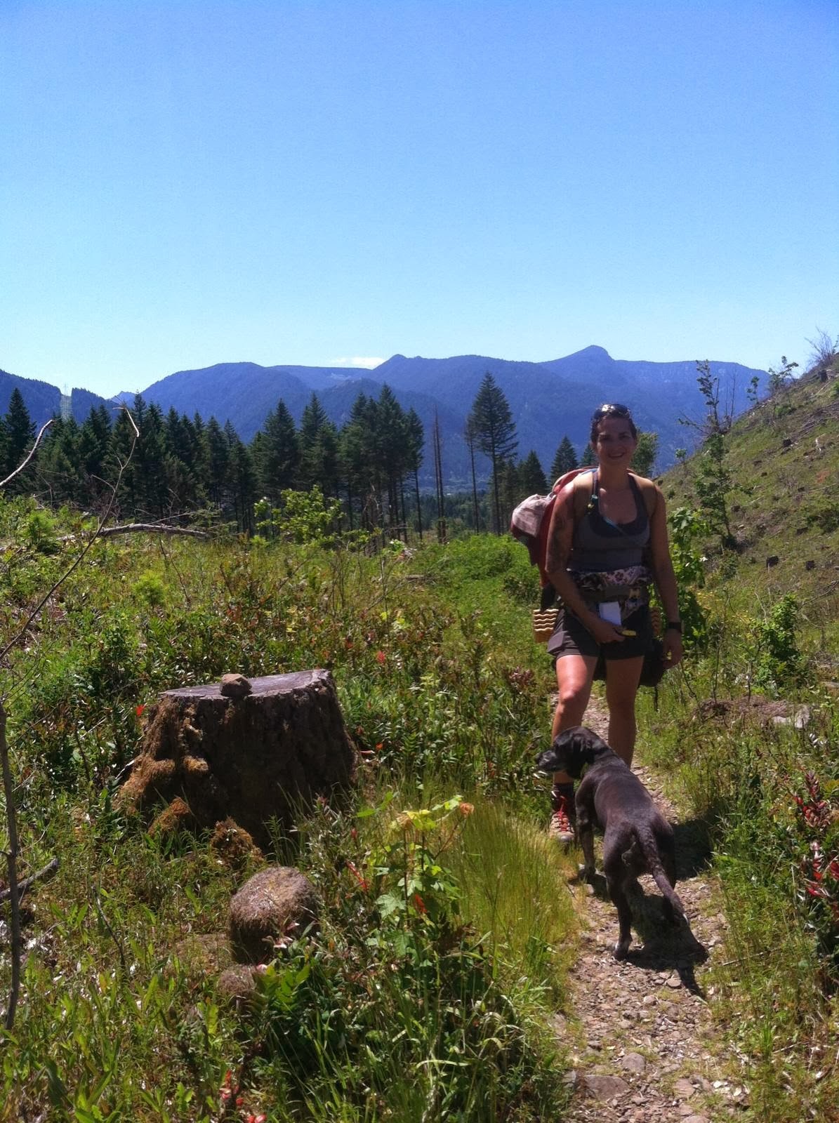 .Hike Mondays.: GILLETTE LAKE: Pacific Crest Trail-section H