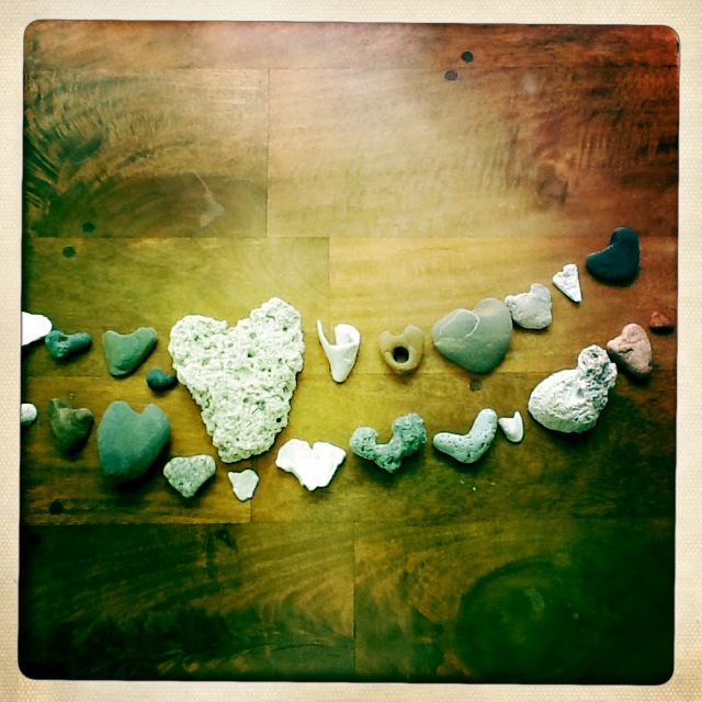 joelledesign: rock + shell collection