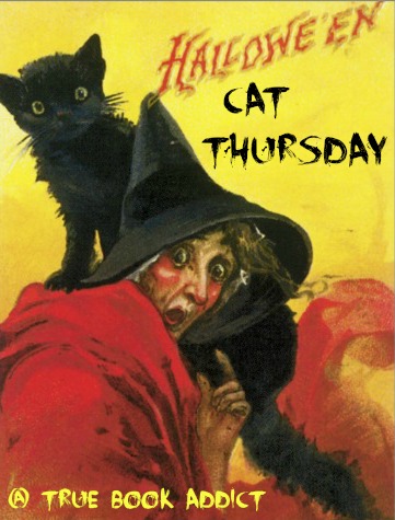 True Book Addict...Books, Cats, and More: Cat Thursday - #Halloween ...