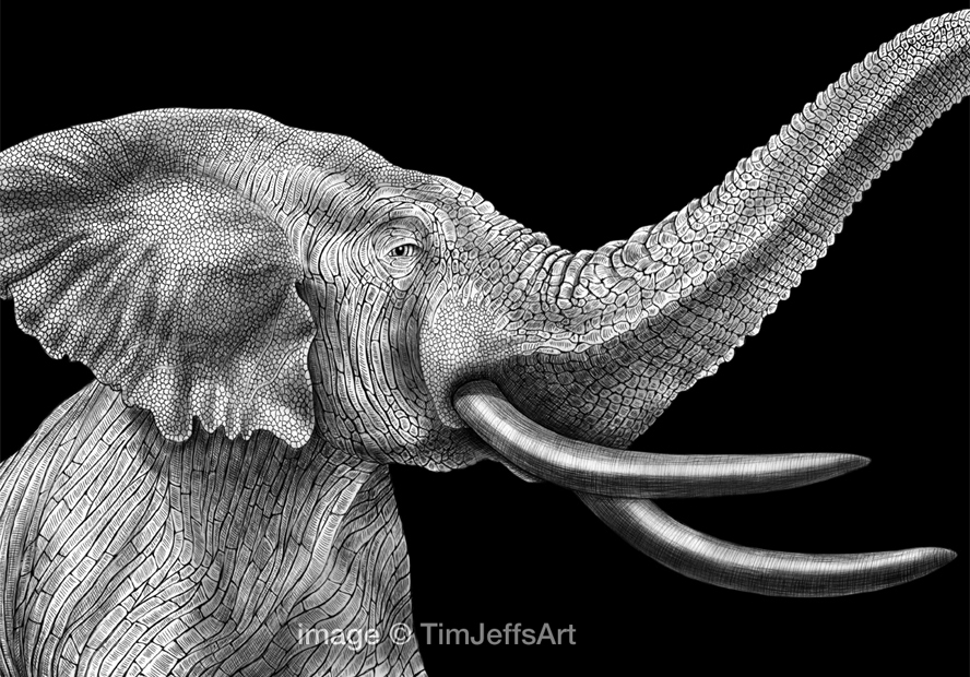 Tim Jeffs - Alchetron, The Free Social Encyclopedia