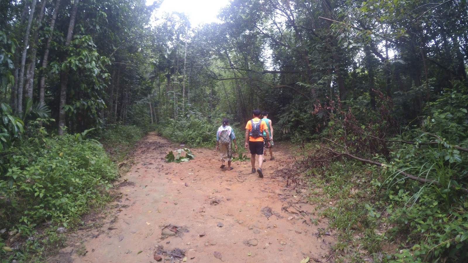 Hiking and Stuff: Bukit Kutu via Kampung Pertak (And a little bit of it ...