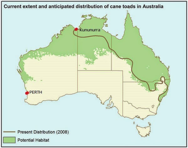 scuze i: and now for toaday’s news