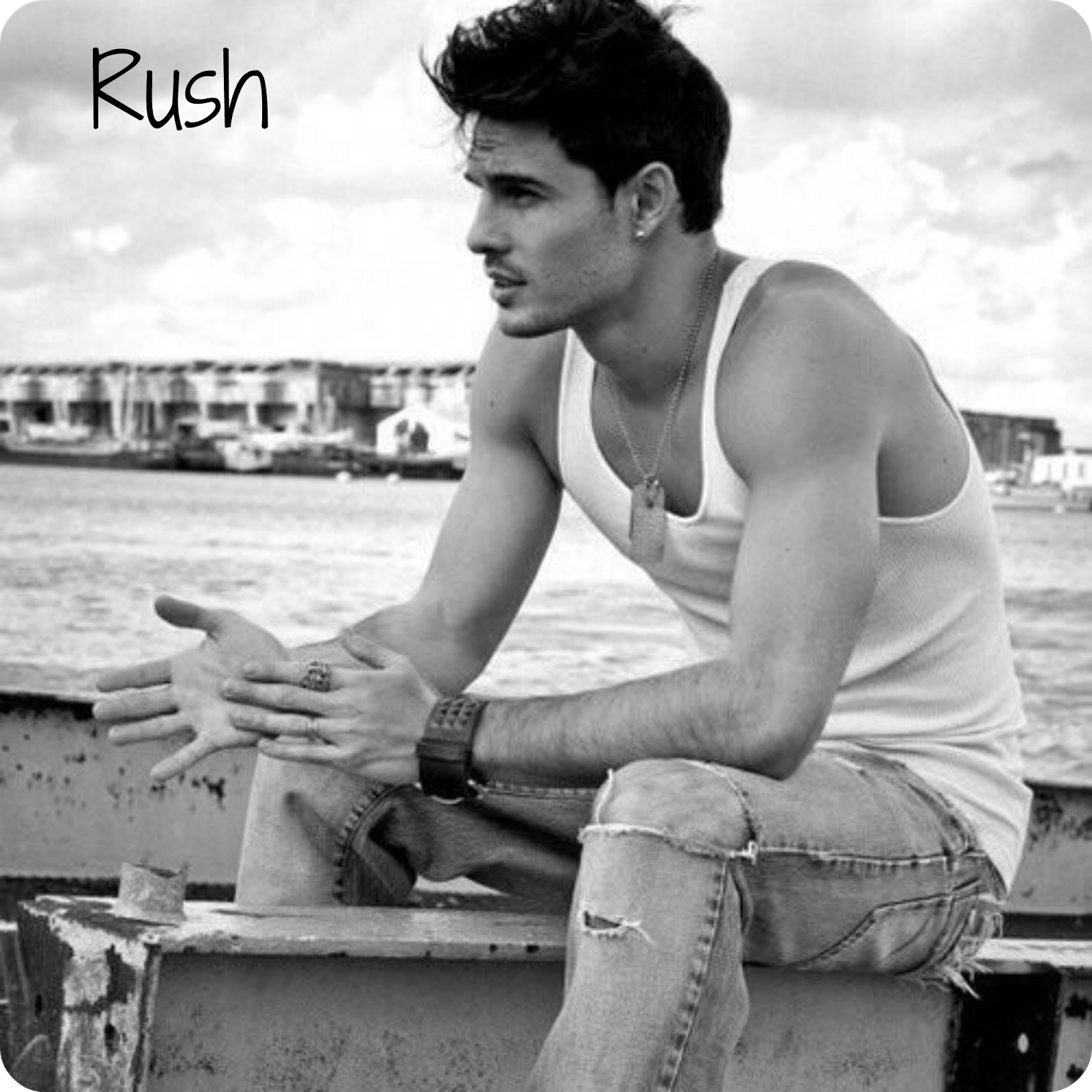 Bookish Advisor: The Boyfriend TAG